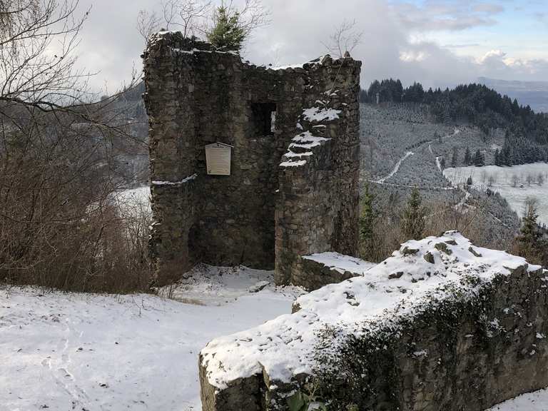Blick von der Ruine Schwarzenburg auf Waldkirch und die Rheinebene ...