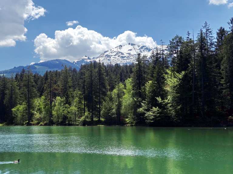 Chapfensee - Mountain Bike Trails & Tracks | Komoot