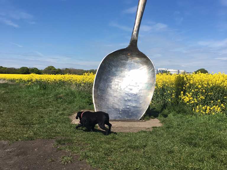 Found The Big Spoon Routes for Walking and Hiking | Komoot