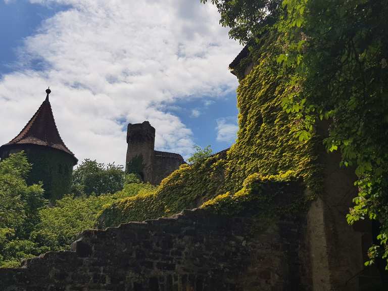Burg Neidenstein : Radtouren und Radwege | komoot