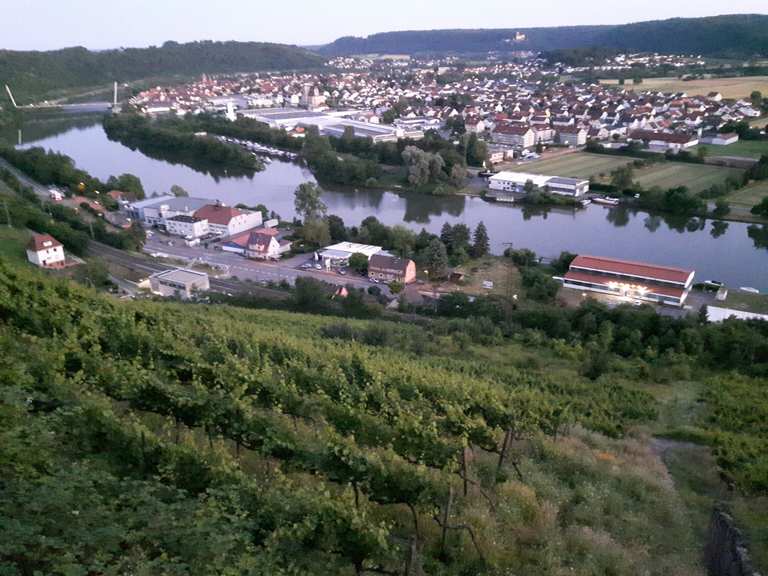 Blick von der Burg Hornberg ins Neckartal und auf Neckarzimmern ...