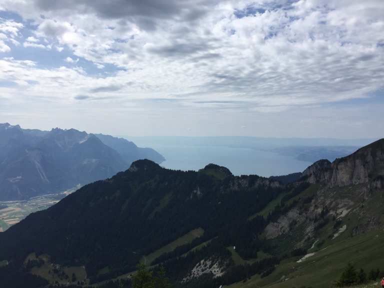 Berneuse Routes for Walking and Hiking | Komoot