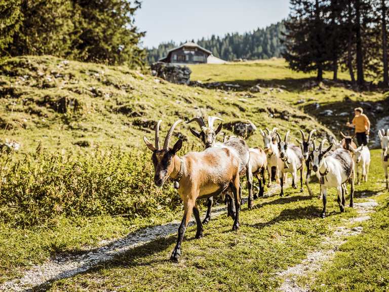 Alp Bire Routes for Walking and Hiking | Komoot