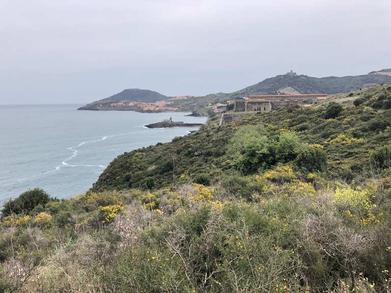 Sentier côtier de la plage de l'Ouille à Collioure - Itinéraires de ...