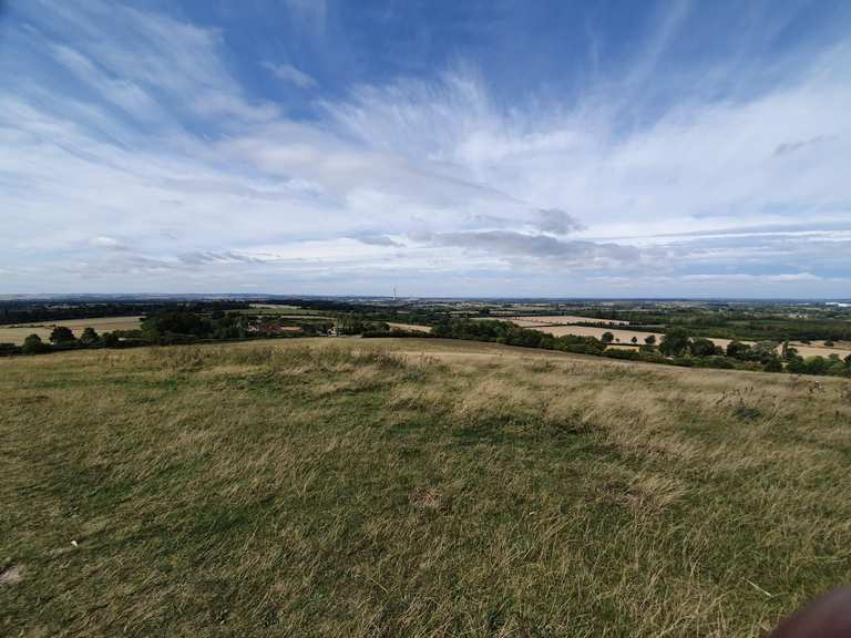 Wittenham Clumps Routes for Walking and Hiking | Komoot