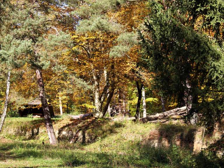 Naturpark Schönbuch: Geologischer Lehrpfad Kirnbach – Großschutzgebiete ...