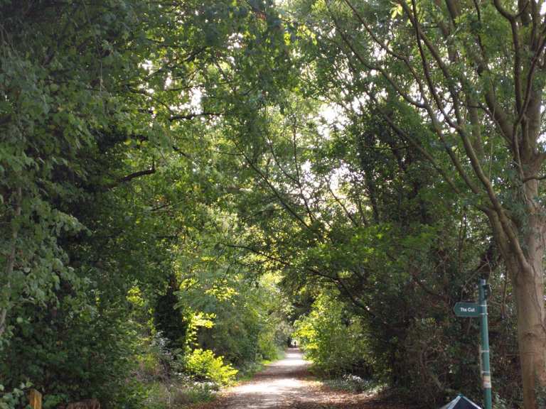 Braywick Nature Reserve - Cycle Routes and Map | Komoot