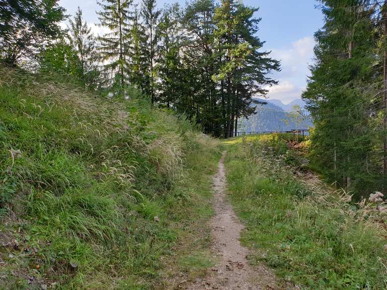 Aussichtspunkt "Teehaus am Mooslahnerkopf" Routes for Walking and ...