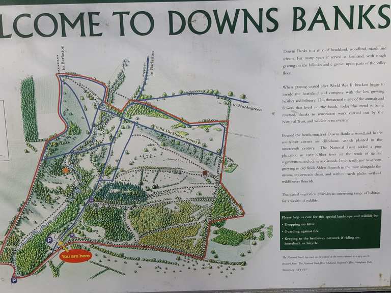 Downs Banks Routes for Walking and Hiking | Komoot