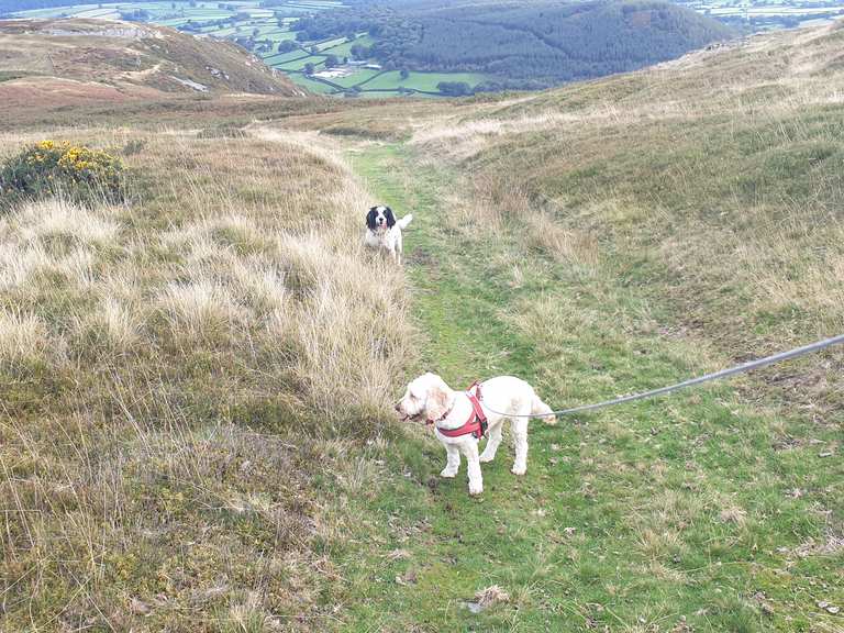 Fun double track gravel descent Mountain Bike Trails & Tracks | Komoot