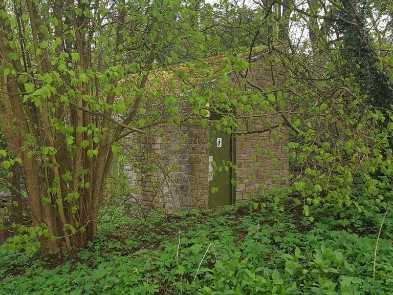 Timbersbrook Picnic Area: Wanderungen und Rundwege | komoot