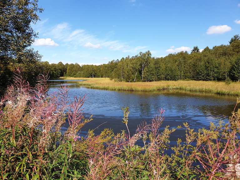 Rotes Moor im Nationalpark Rhön - Itinéraires vélo et carte | Komoot