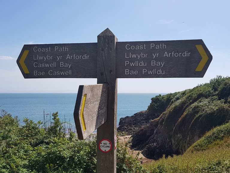 Brandy Cove Routes for Walking and Hiking | Komoot