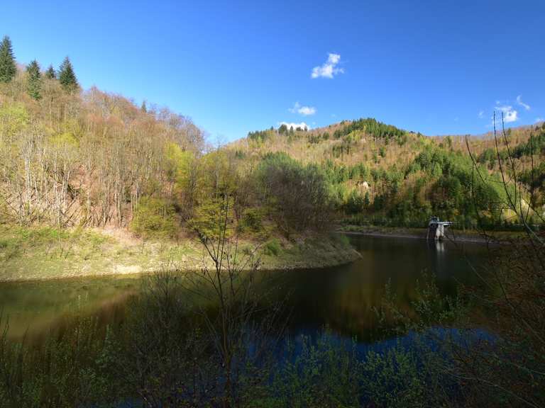 Wehra Stausee Routes for Walking and Hiking | Komoot