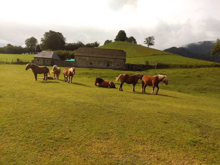 Plateau du Bénou - Itinéraires vélo et carte | Komoot