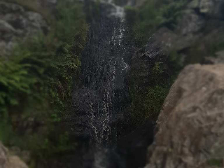 Lightspout Waterfall: Wanderungen und Rundwege | komoot