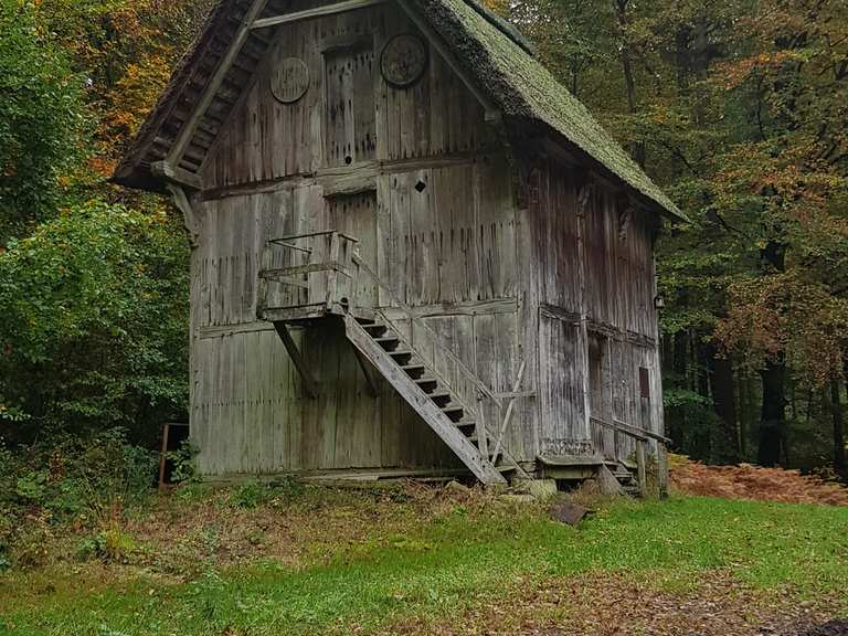 Forest huts Routes for Walking and Hiking | Komoot