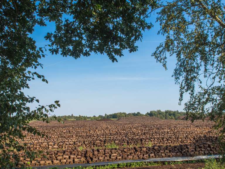 Torfabbau Campemoor: Radtouren und Radwege | komoot