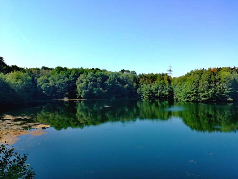 Oberwaldsee & Vogelsberger See : Radtouren und Radwege | komoot