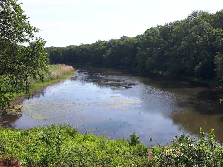 Dornburger Alte Elbe a Kreuzhorst : percorsi escursionistici e trekking ...