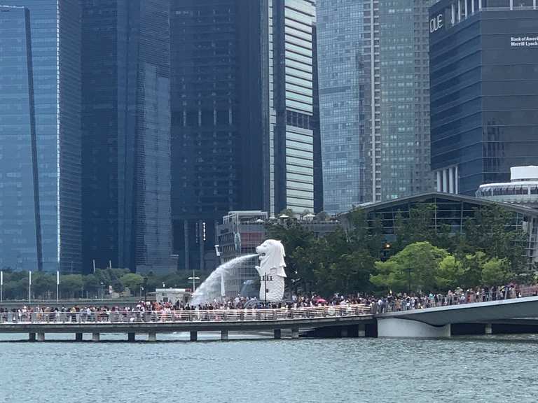 Merlion Routes for Walking and Hiking | Komoot