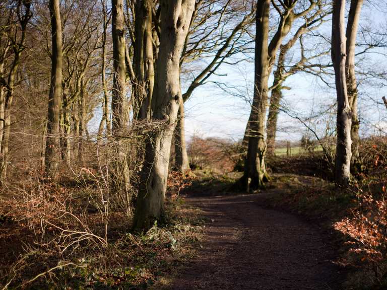 Aston Rowant Nature Reserve - Cycle Routes and Map | Komoot