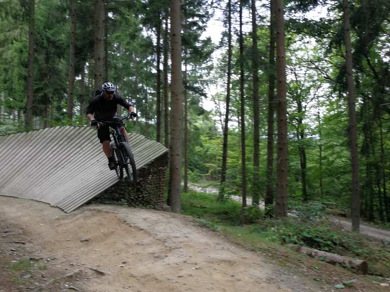Bikepark „Flowtrail“ Stromberg: Mountainbike-Touren und -Trails | komoot