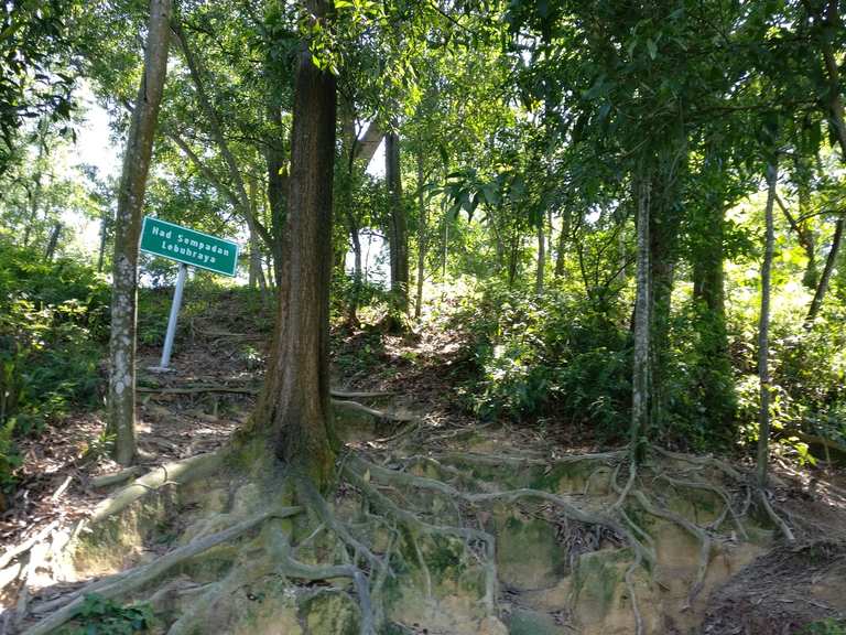 Denai Tiga Puteri Peak Routes for Walking and Hiking | Komoot