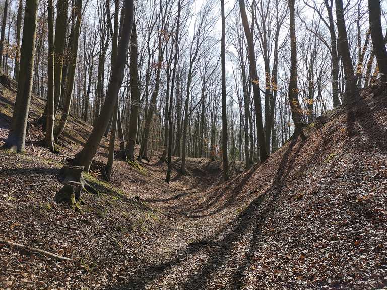 Burgruine Schauerberg: Mountainbike-Touren und -Trails | komoot