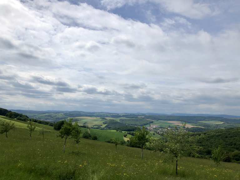 Aussichtspunkt Reuschbacher Höhe : Radtouren und Radwege | komoot