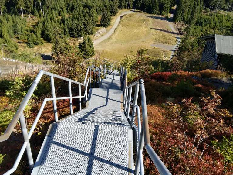 Wurmberg Routes for Walking and Hiking | Komoot