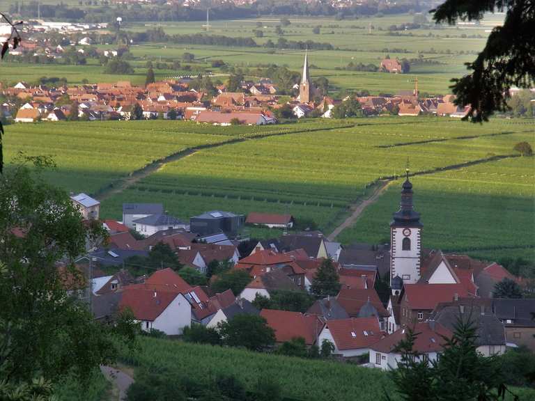 Blick auf Weyher – St. Anna-Kapelle Runde von Weyher in der Pfalz ...