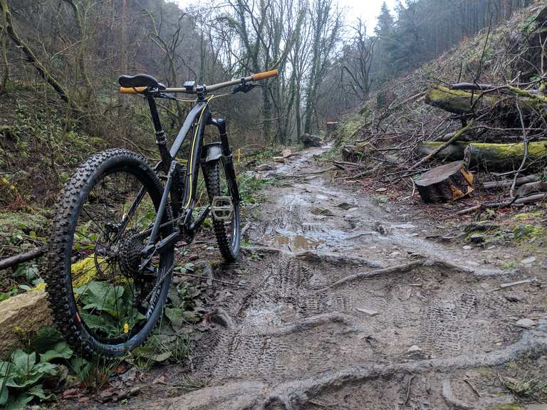 Cwmcarn Twrch Mountain Bike Trail - Mountain Bike Trails & Tracks | Komoot