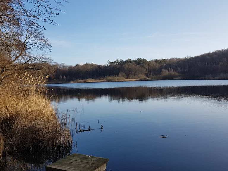 Roikier See Routes for Walking and Hiking | Komoot