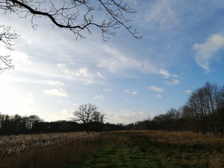Aalbeek Niederung: Wanderungen und Rundwege | komoot