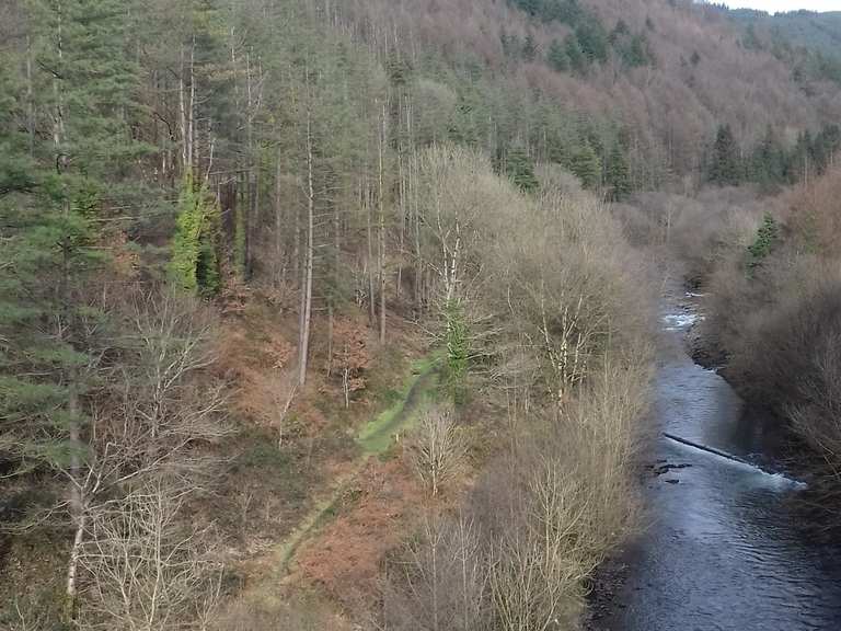 Afan Argoed Forest cycleway - Cycle Routes and Map | Komoot
