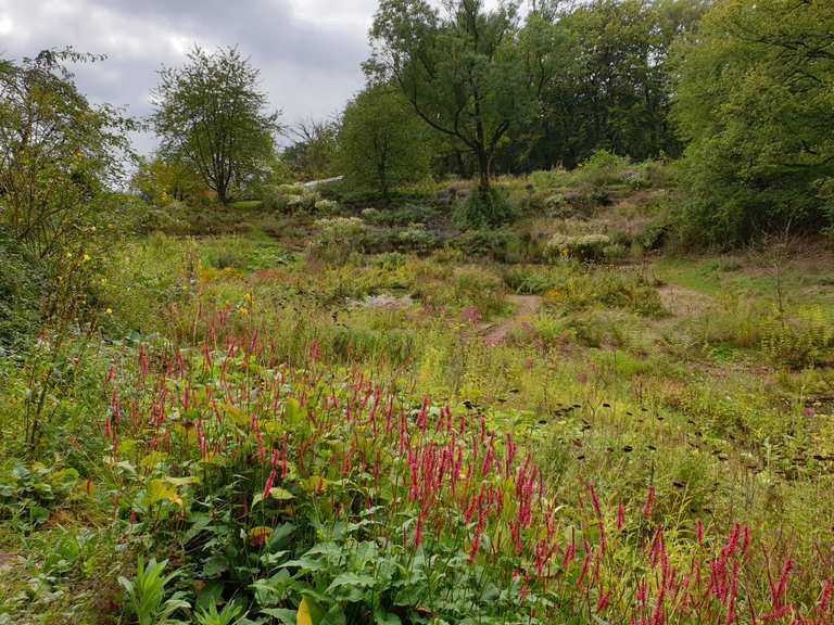 Michaelshof Sammatz/Wendland: Wanderungen und Rundwege | komoot