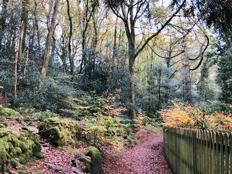 High Hagg Wood & Orrest Head loop from Windermere — Lake District ...