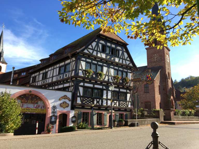 Beobachtungshäuschen im Moor – Grötzinger Baggersee Runde von ...