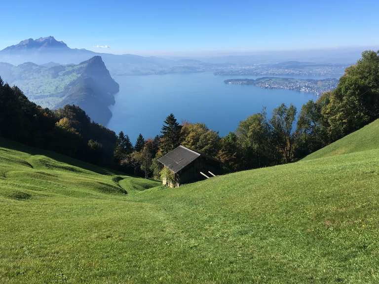 Blick auf den Vierwaldstättersee und den Bürgenstock vom Wissifluh-Weg: Wanderungen und Rundwege ...