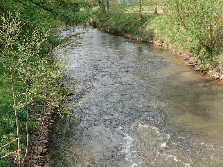 Flusslauf Hunte – Idyllischer Weg an der Hunte loop from Huntlosen ...