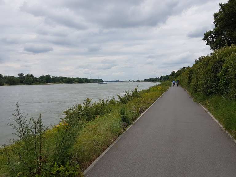 Rheinradweg Cycle Routes and Map | Komoot