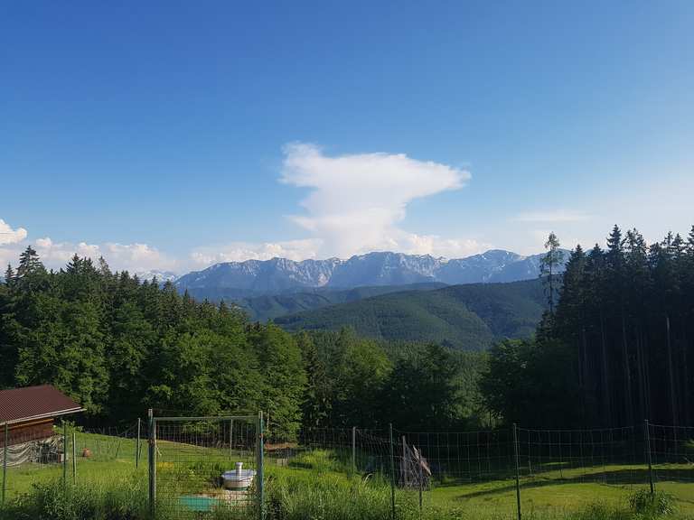 Hongar - Mountain Bike Trails & Tracks | Komoot