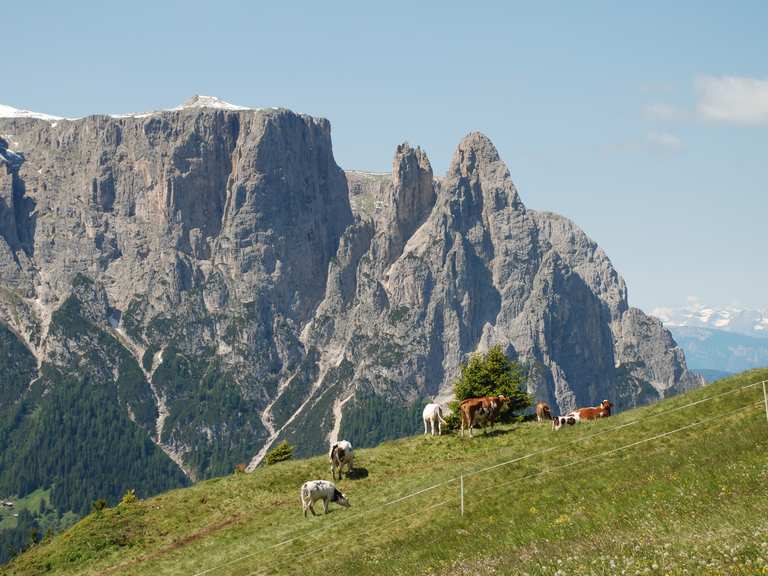 Santnerspitze mit Schlern Routes for Walking and Hiking | Komoot