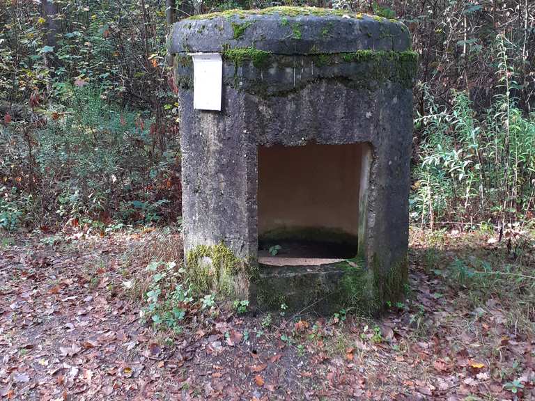 One-man bunker (Koch bunker) in Bienwald – Hiking & Cycling Routes | Komoot