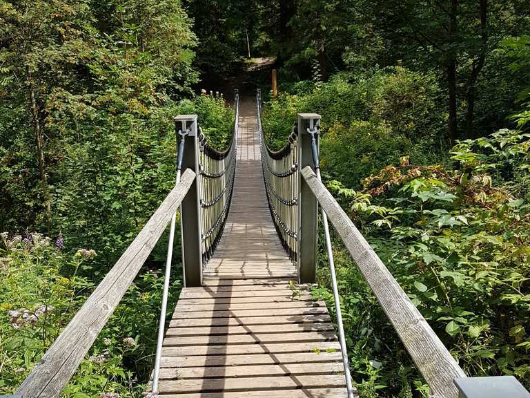 WeltWald Bad Grund - Bad Grund, Osterode am Harz | Hiking Tips & Photos ...