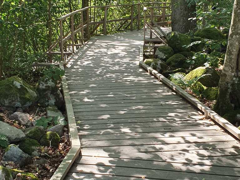 Fulltofta naturcentrum Routes for Walking and Hiking | Komoot