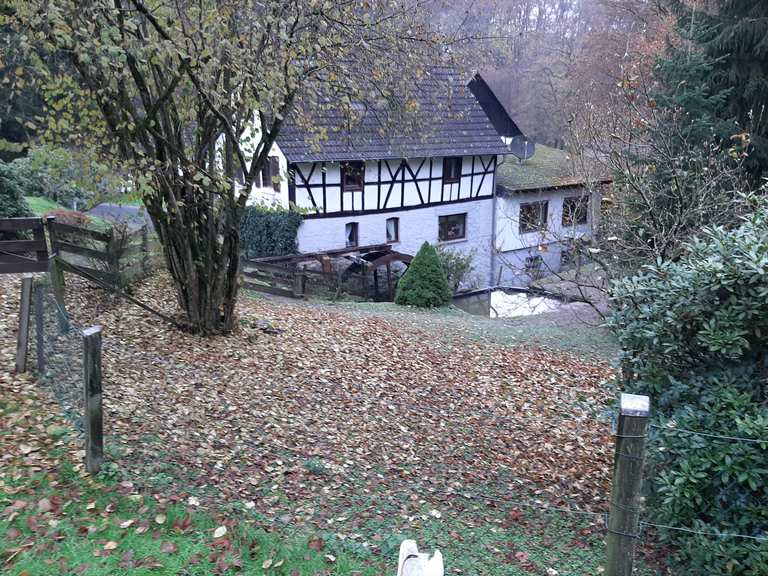 Ravenstein wandelroutes en hikes | Komoot