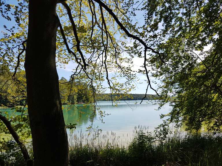 Brandenburg - Großer Stechlinsee : Radtouren und Radwege | komoot