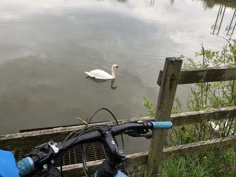 Loscoe Dam: Wanderungen und Rundwege | komoot